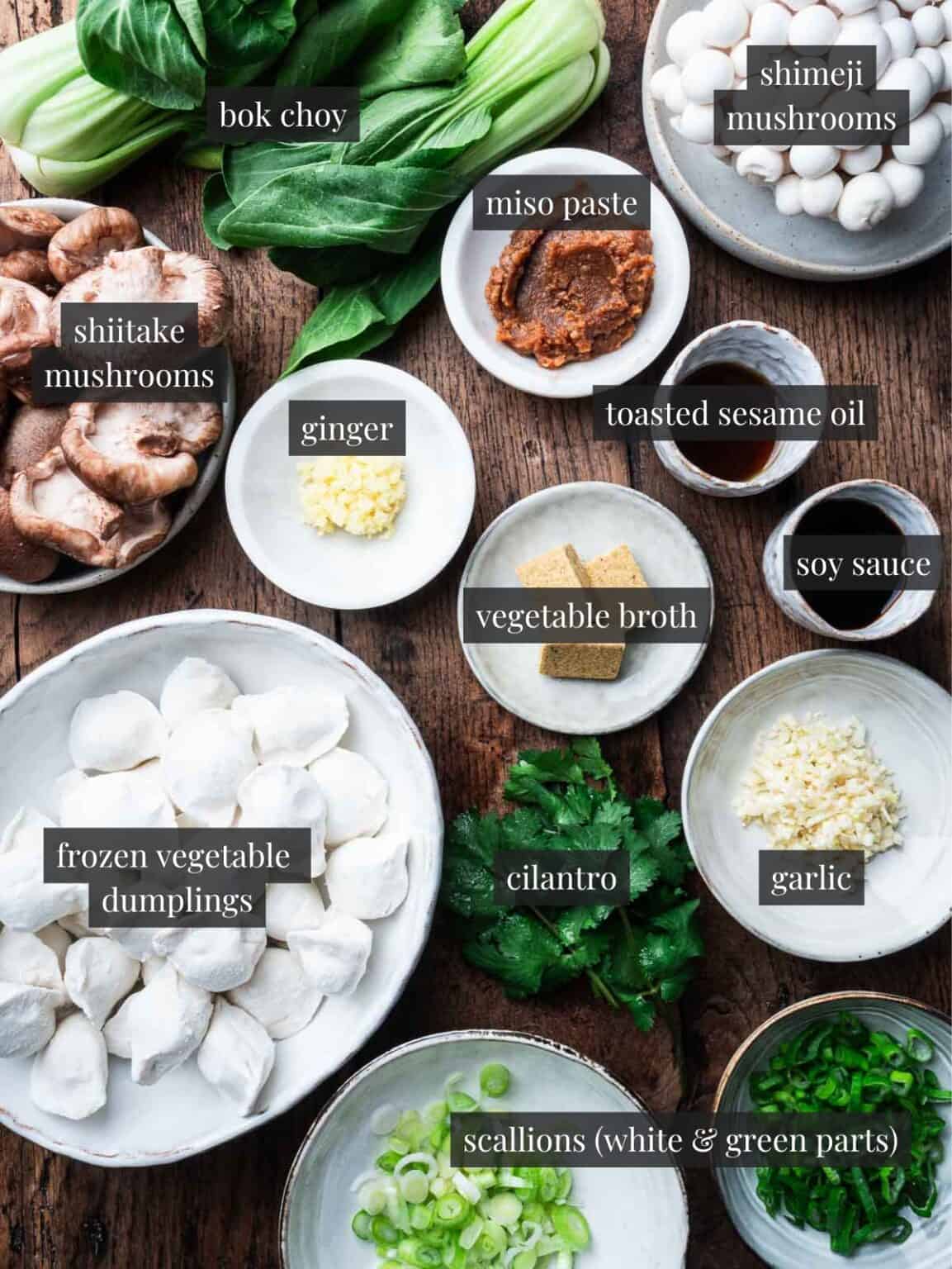 Vegetarian Dumpling Soup | Nim Pairings